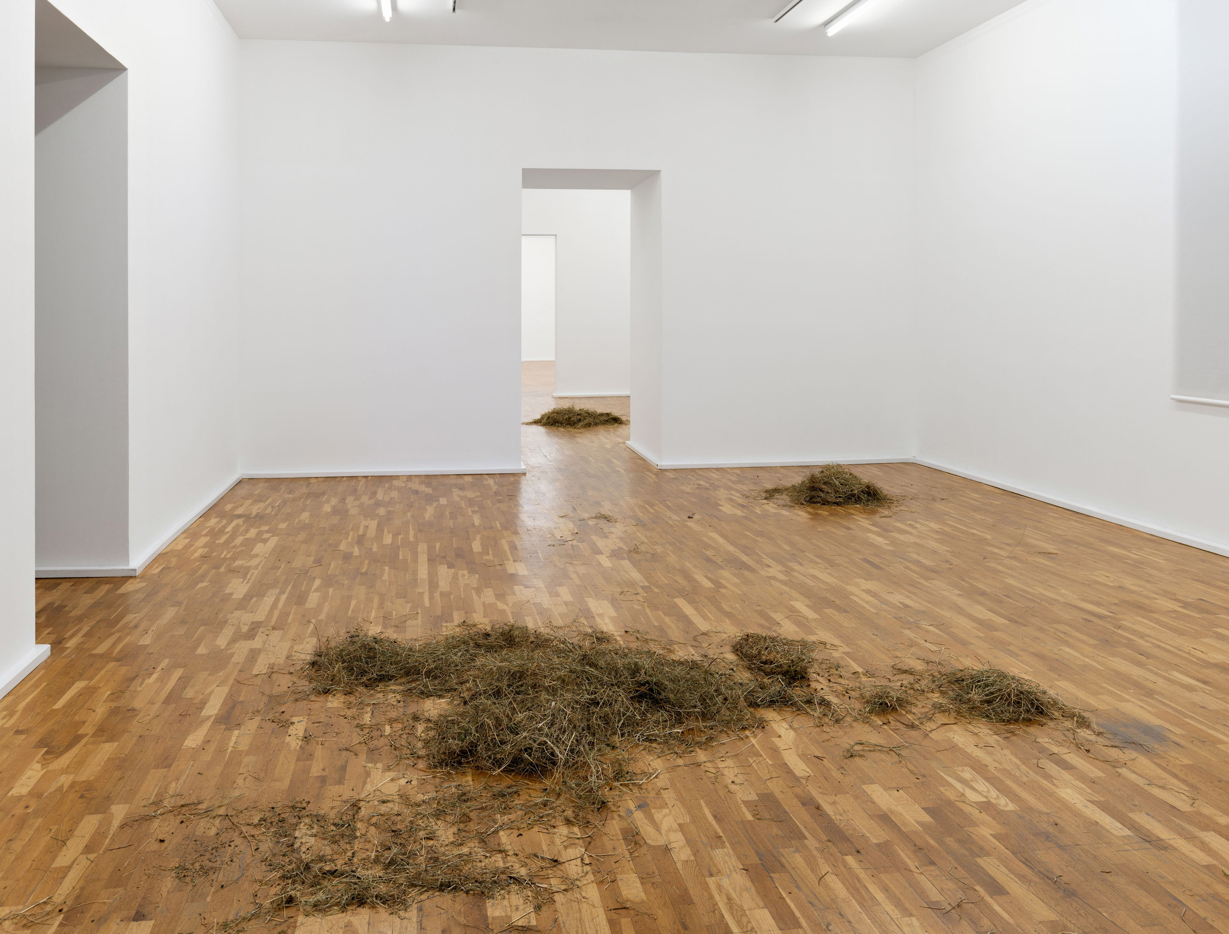 ODOR - Immaterial Sculptures - DCV